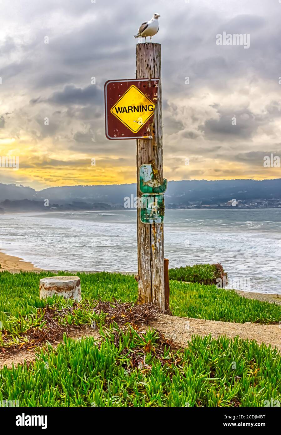 Gull on Warning Sign Stock Photo - Alamy