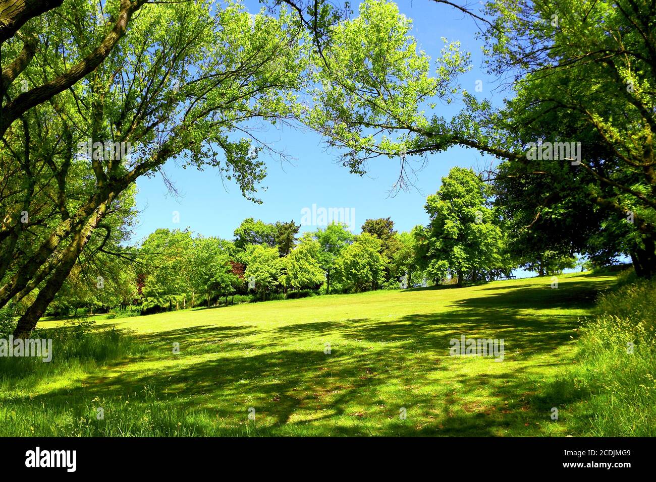 Environment embrace hi-res stock photography and images - Alamy