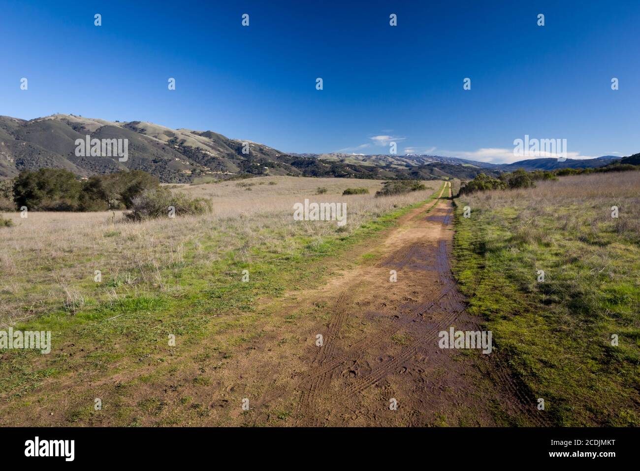 Soaked in rain hi-res stock photography and images - Alamy