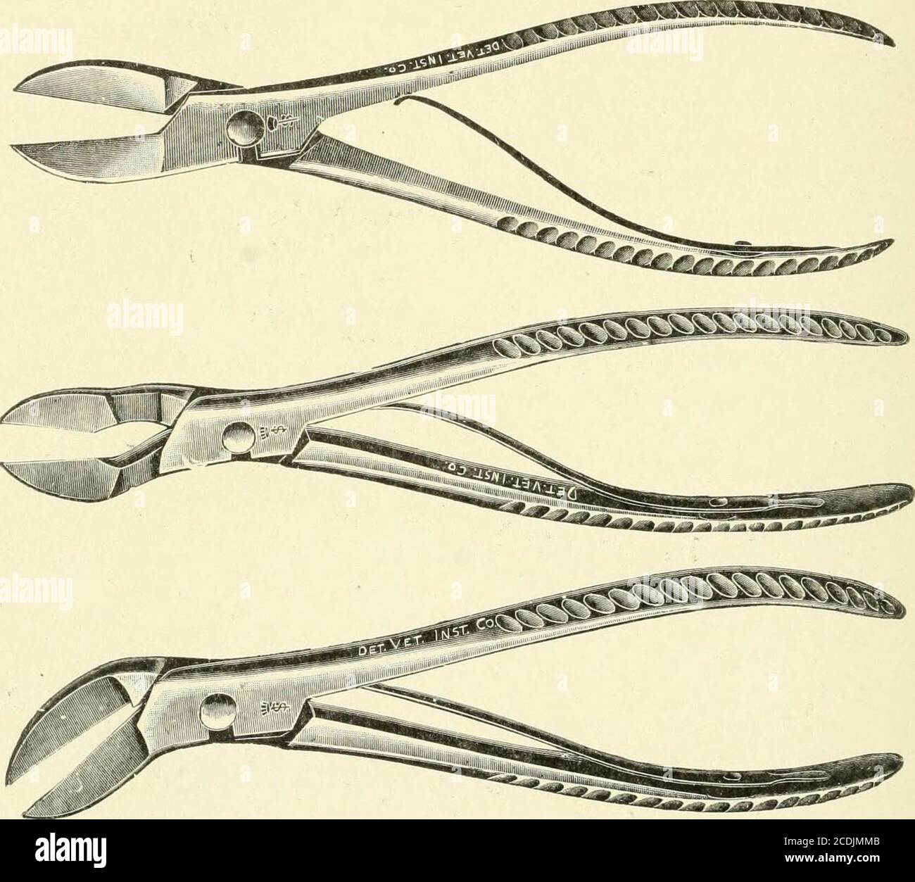 Rib removal hi-res stock photography and images - Alamy