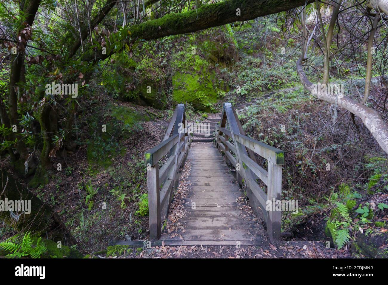 Bridge on Waterfall Trail at Garland Ranch Regional Park Stock Photo ...