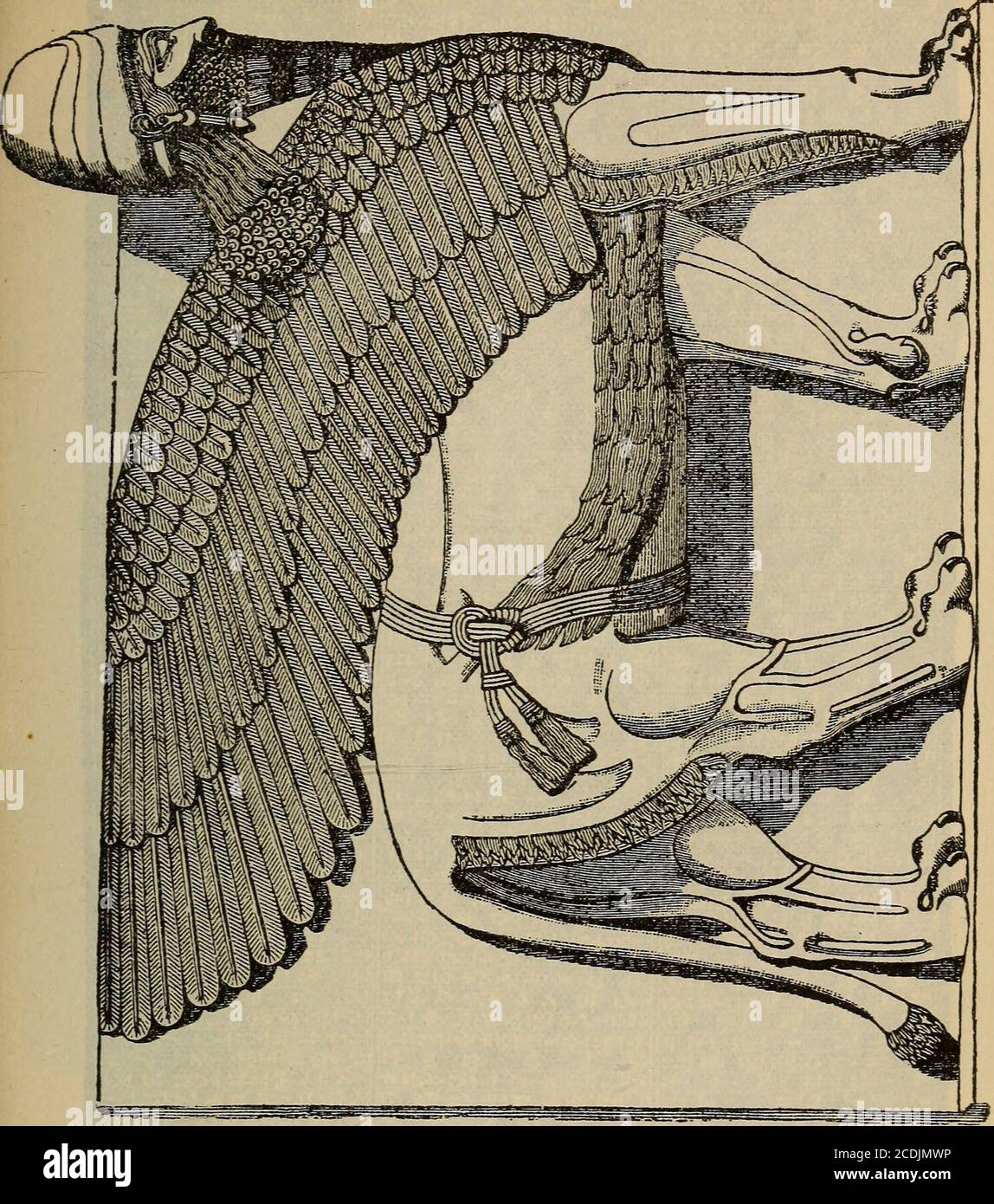 . The Holman new self-pronouncing Sunday-school teachers Bible . Plate ...