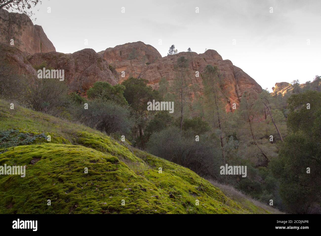 Pinnacles National Monument in California, USA Stock Photo - Alamy
