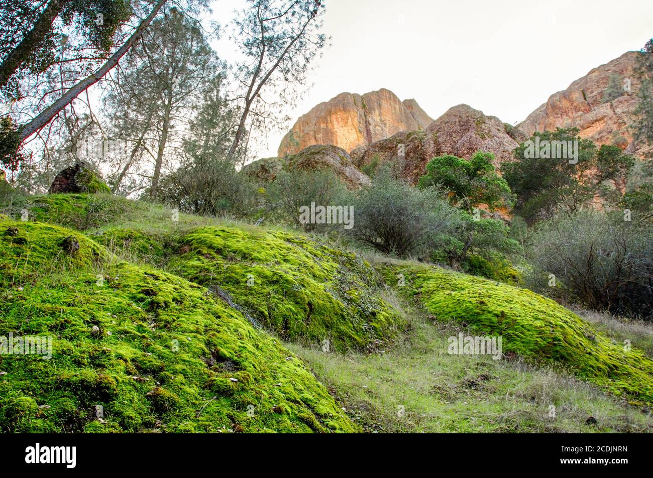 Pinnicales national monument hi-res stock photography and images - Alamy