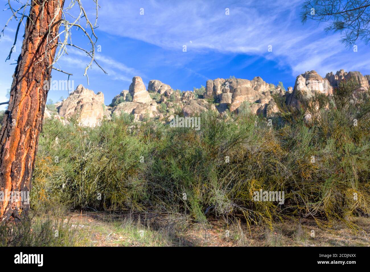 Pinnacles National Monument in California, USA Stock Photo - Alamy