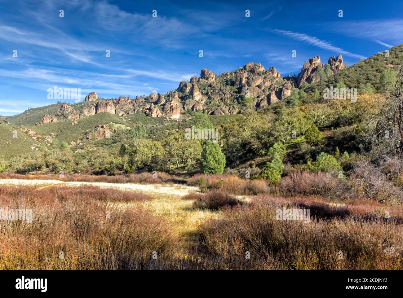 Pinnacles National Monument in California, USA Stock Photo - Alamy