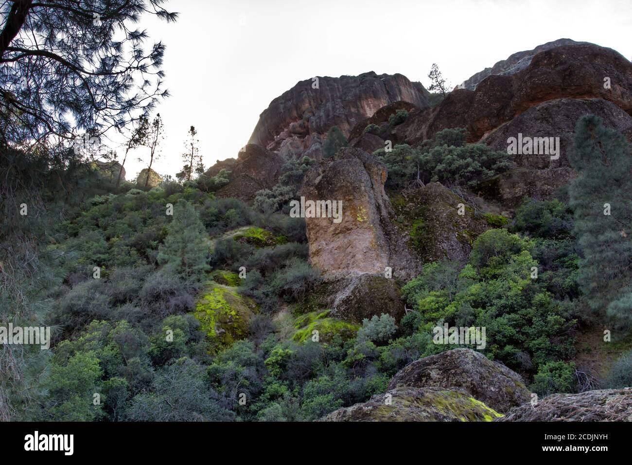 Pinnacles National Monument in California, USA Stock Photo - Alamy