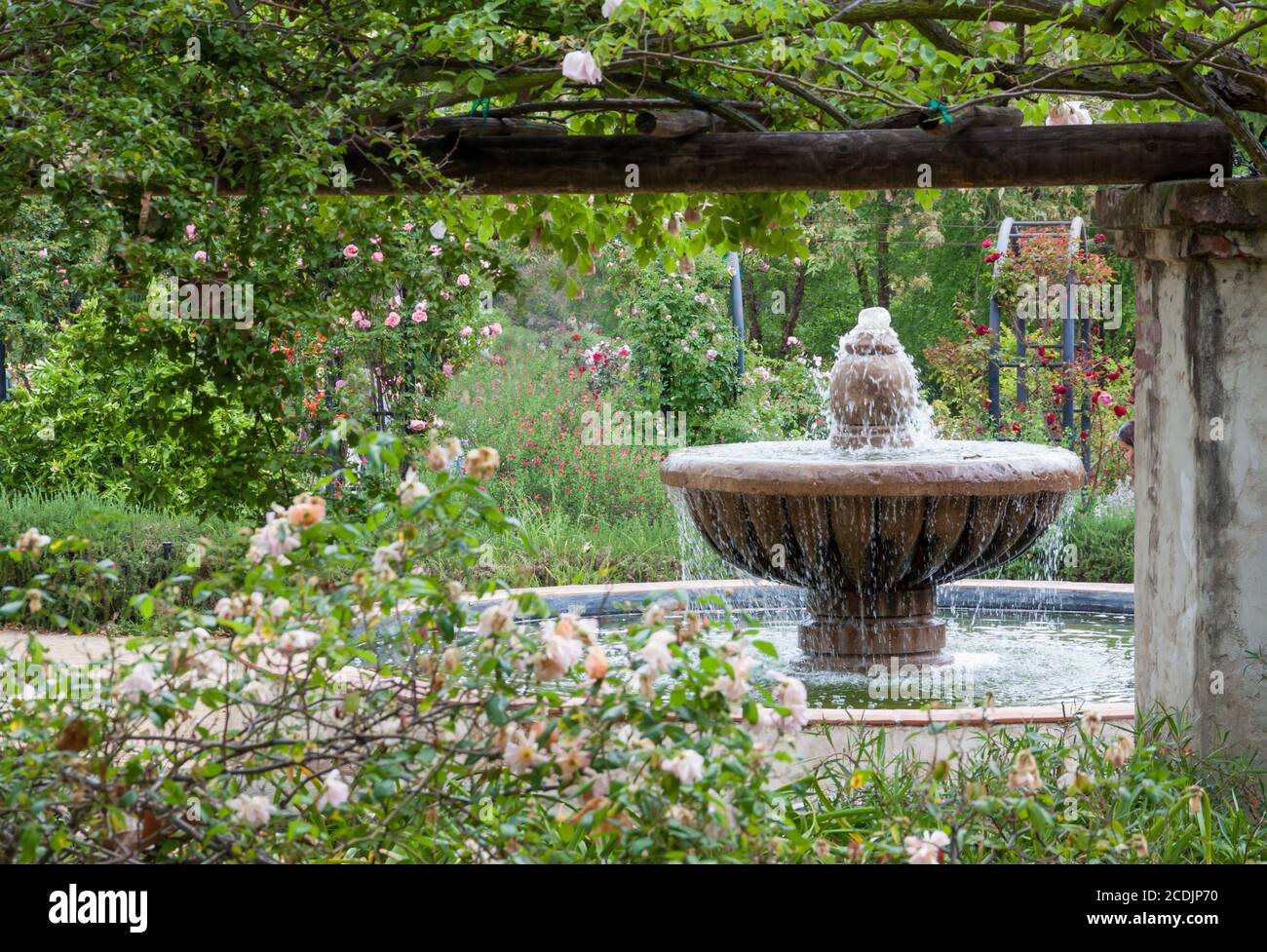 English Garden After the Rain Stock Photo - Alamy