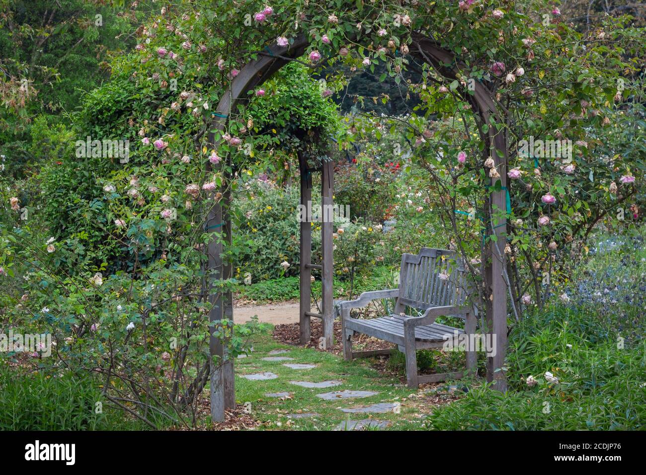 English Garden After the Rain Stock Photo - Alamy