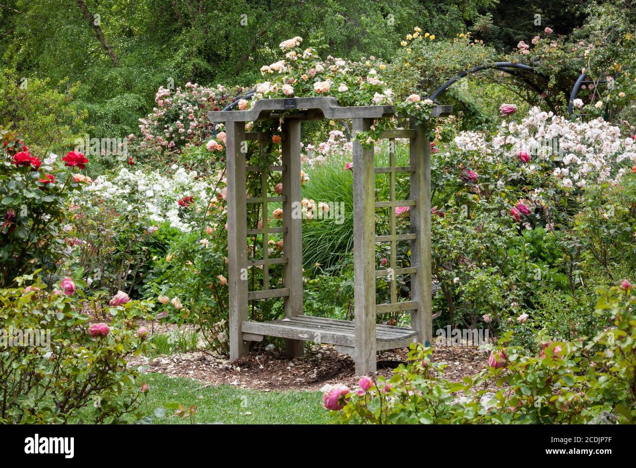English Garden After the Rain Stock Photo - Alamy