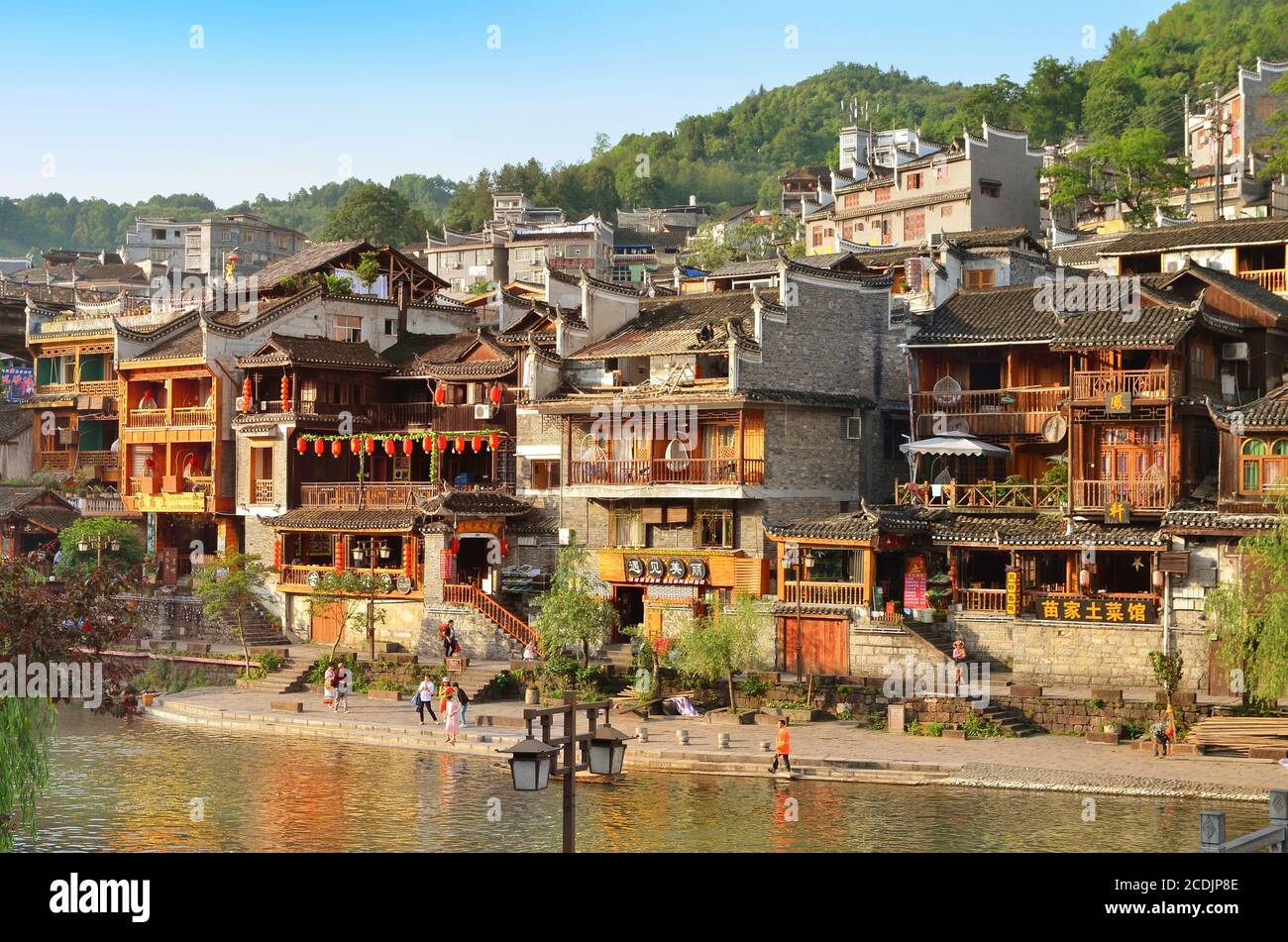 Phoenix hong hi-res stock photography and images - Alamy