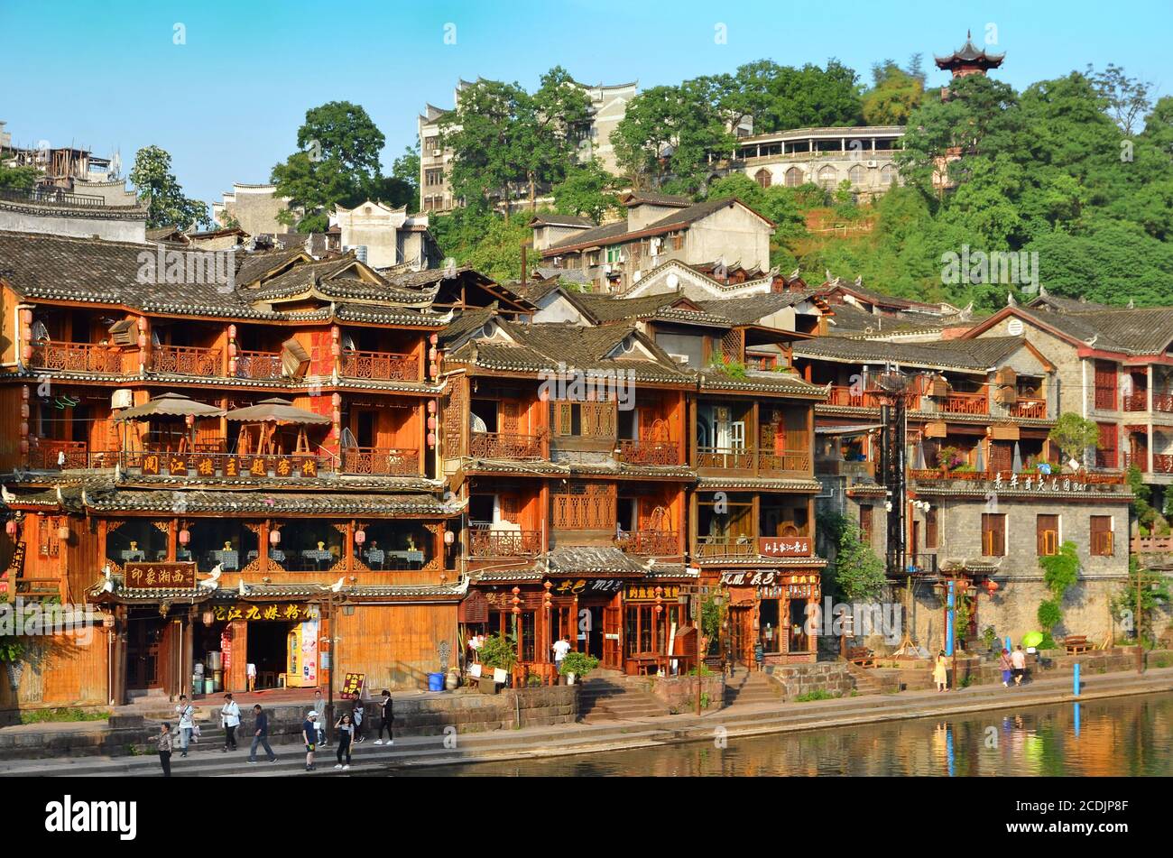 Phoenix hong hi-res stock photography and images - Alamy