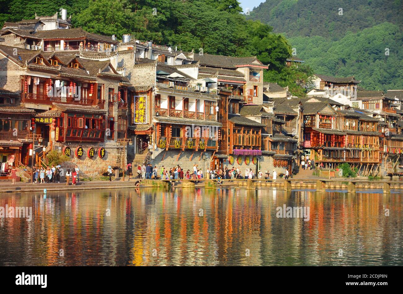 Phoenix hong hi-res stock photography and images - Alamy