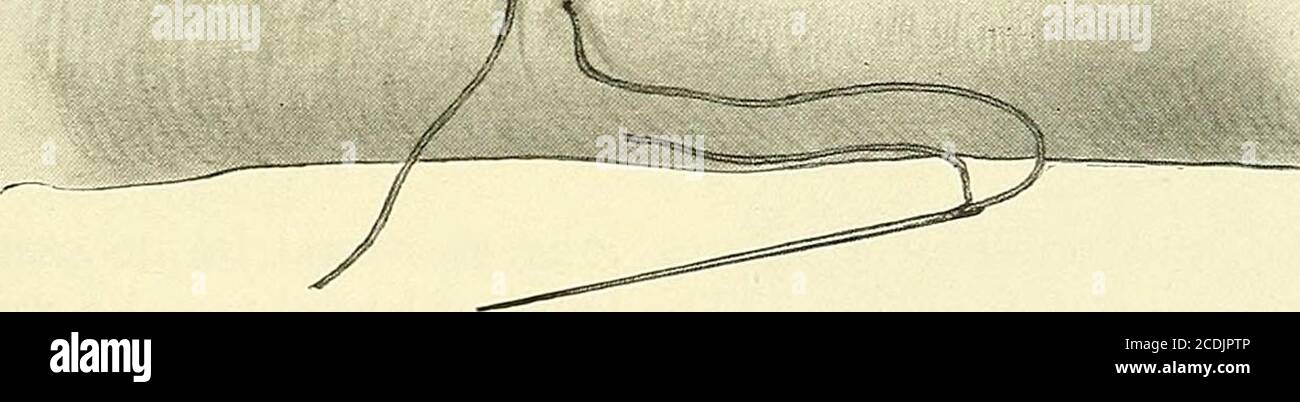 Stitch principles hi-res stock photography and images - Alamy