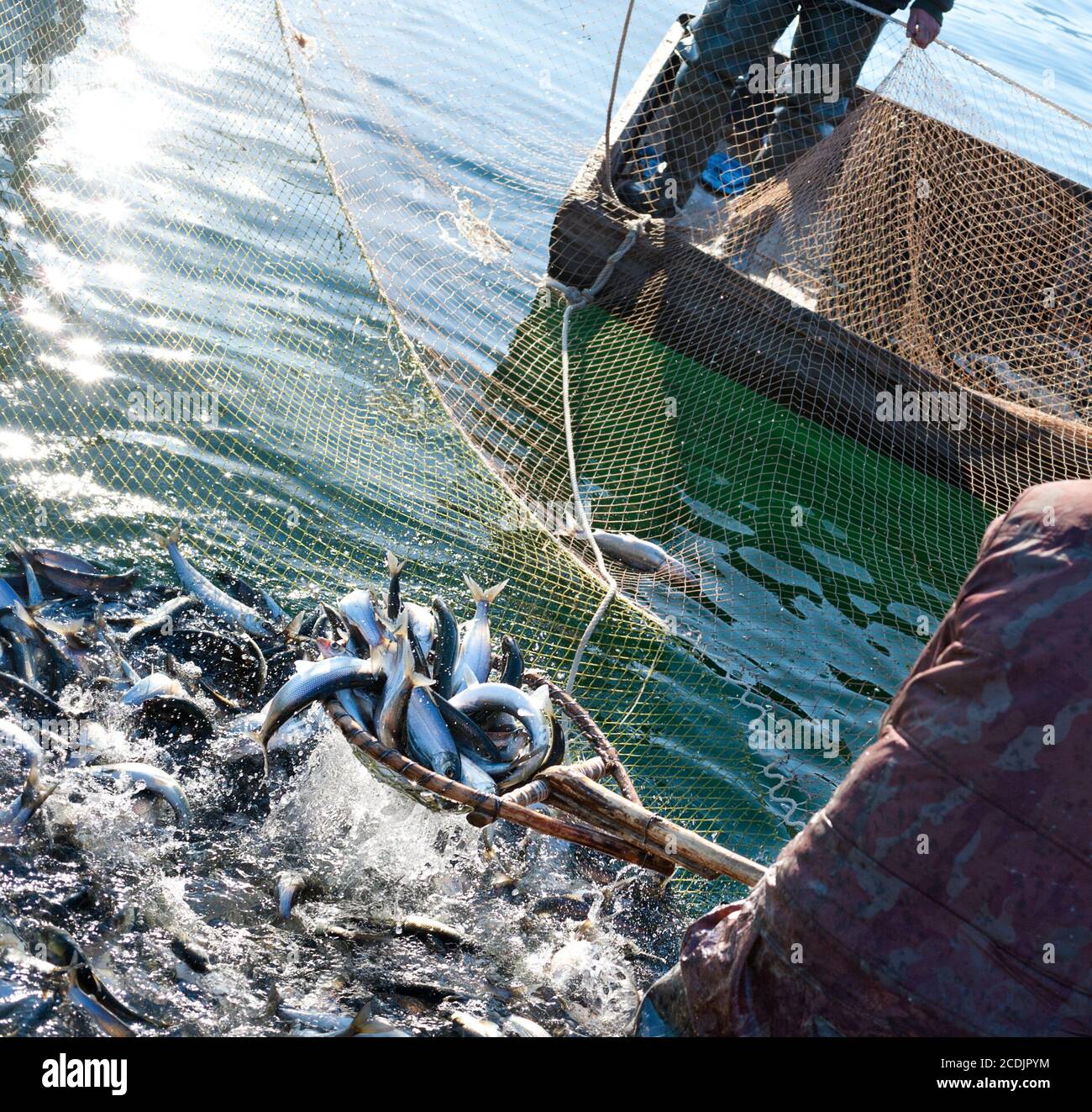 Dragnet fishing hi-res stock photography and images - Alamy