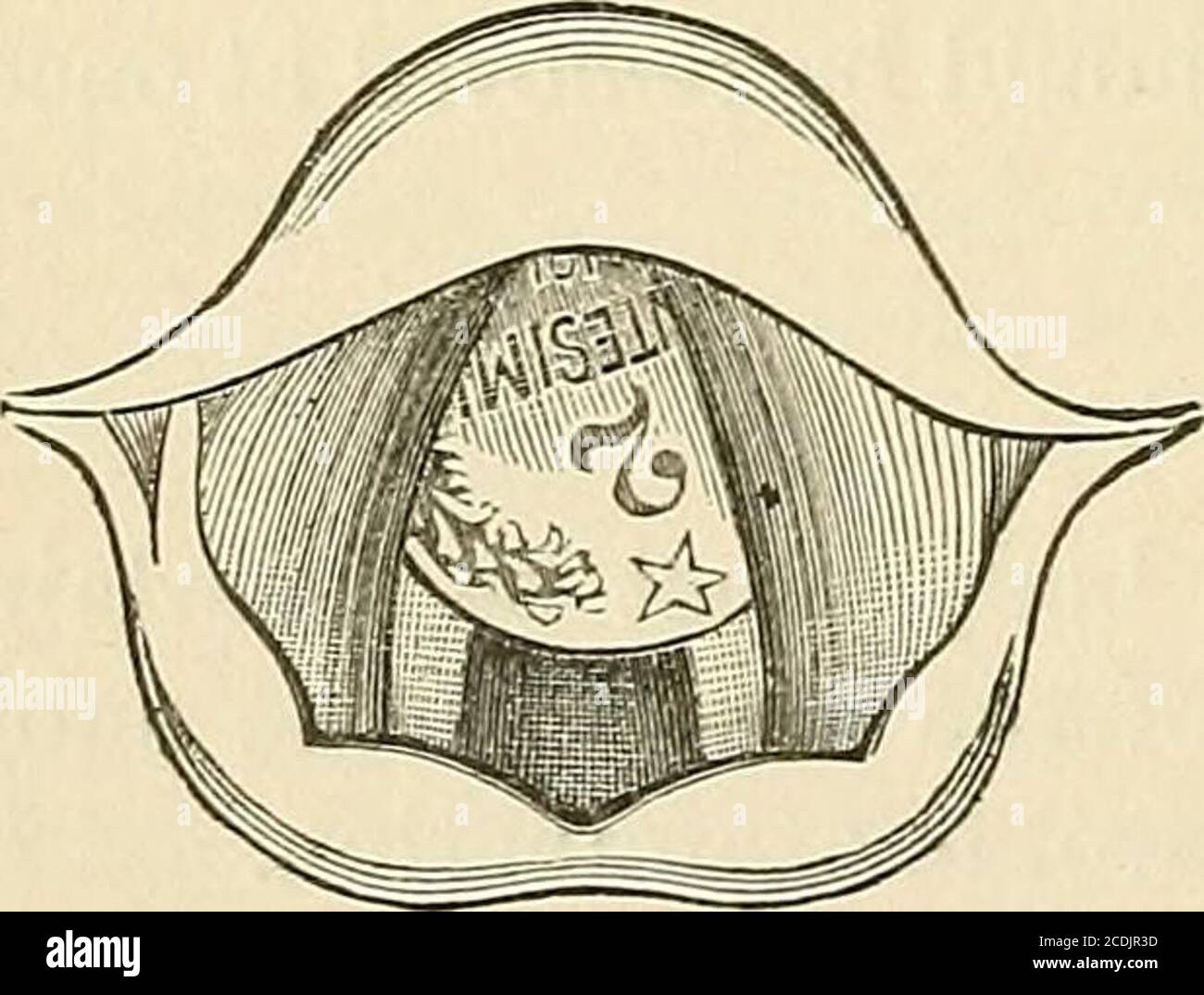 . Twentieth century practice; an international encyclopedia of modern ...