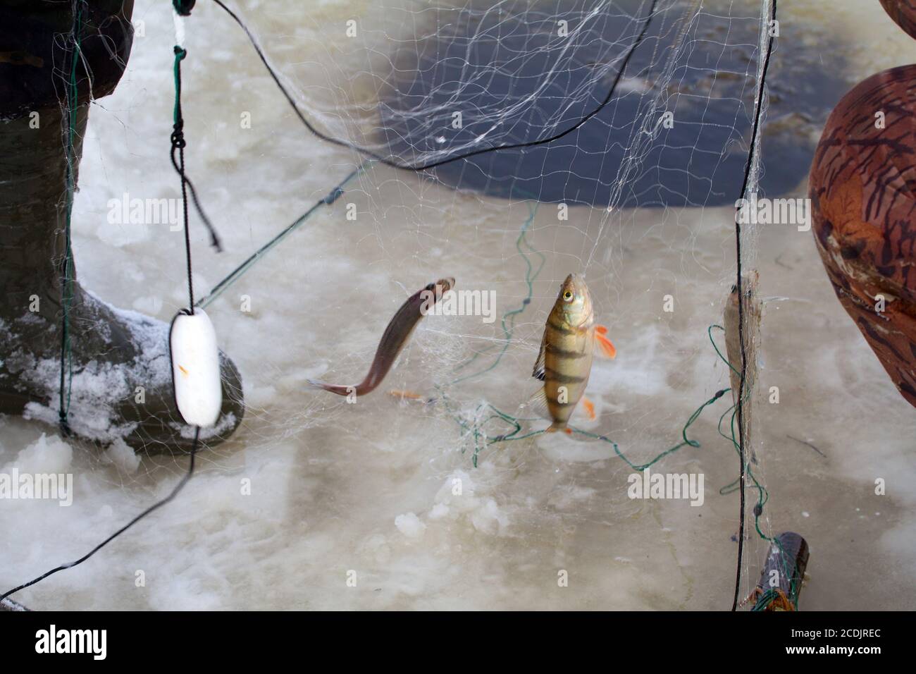 Netting process hi-res stock photography and images - Alamy