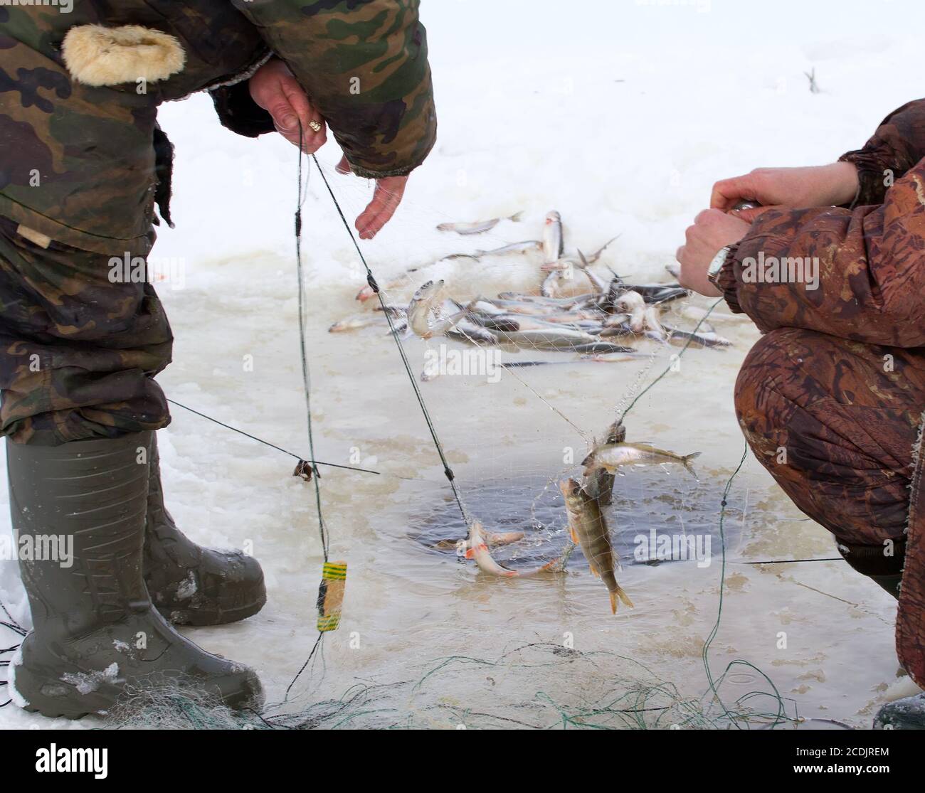 winter marine net Stock Photo - Alamy