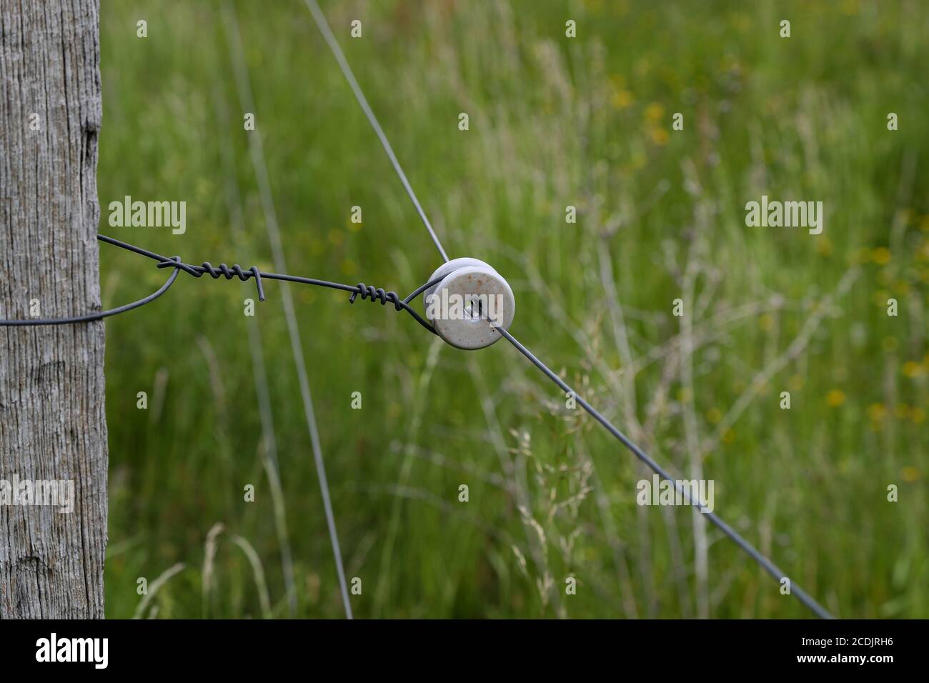 Closeup of an electrical wire fence around a pasture Stock Photo - Alamy