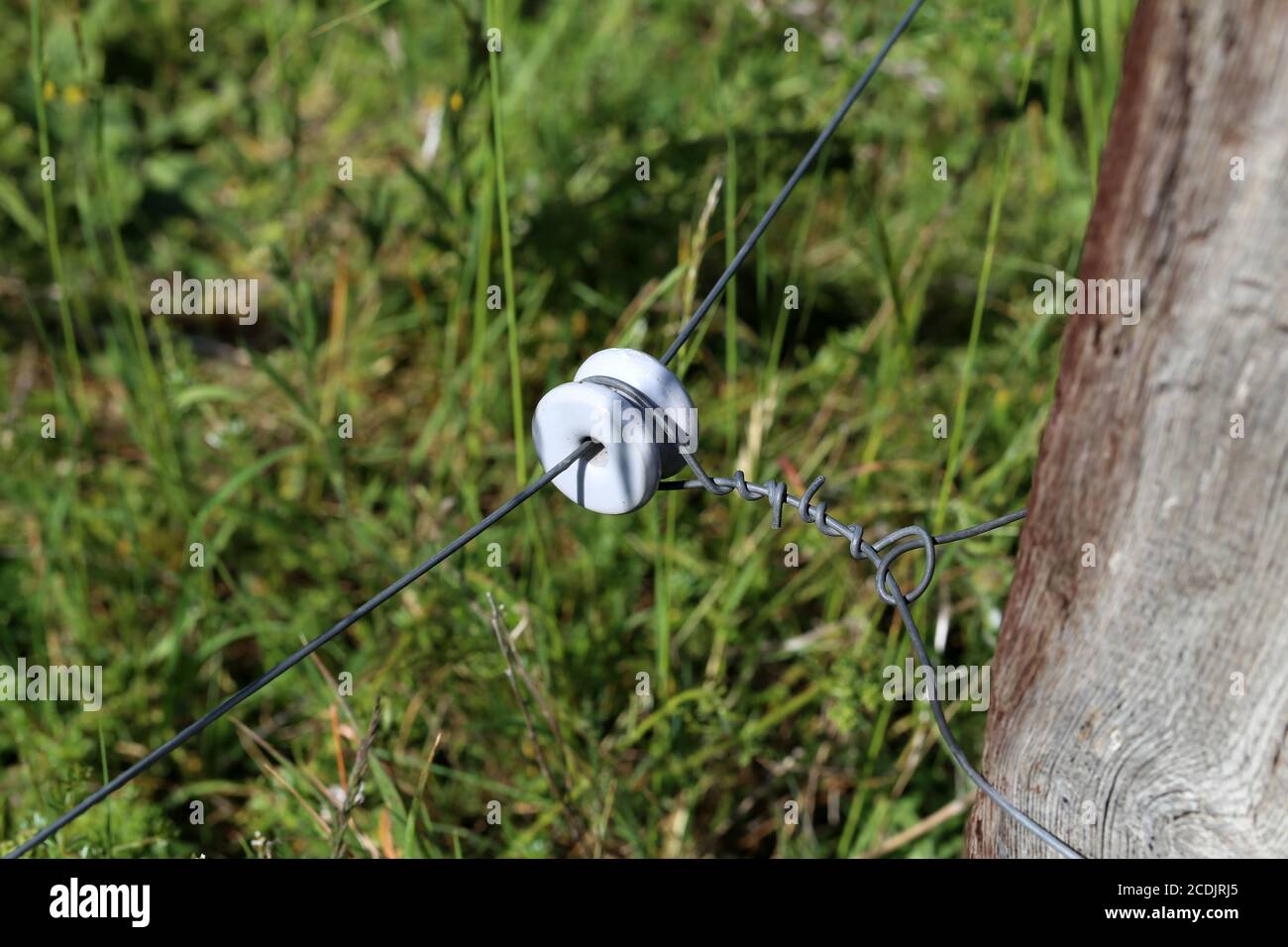Electrical fence around pasture hi-res stock photography and images - Alamy