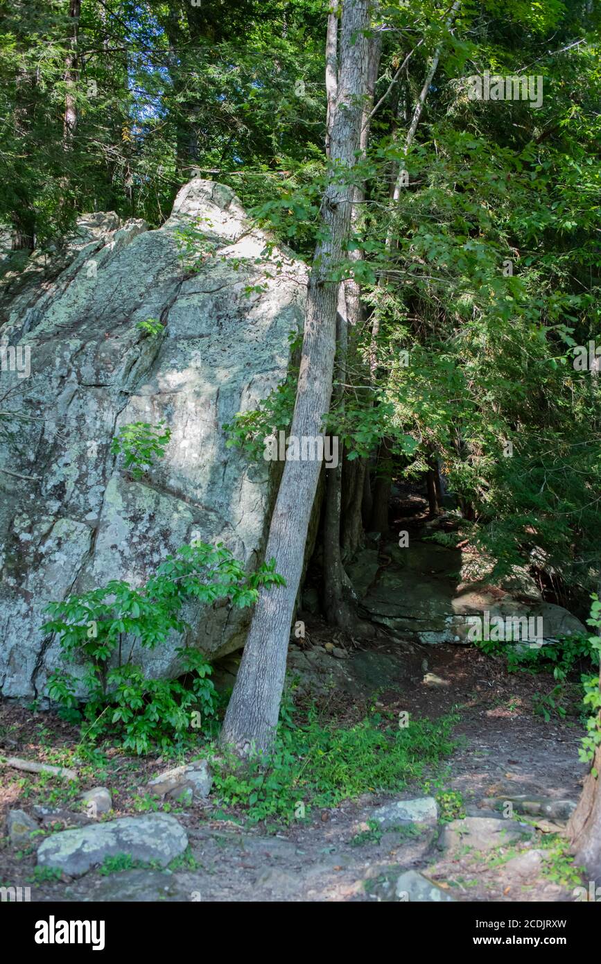Cliffs on hiking trail at Cumberland Falls State Resort Park in ...