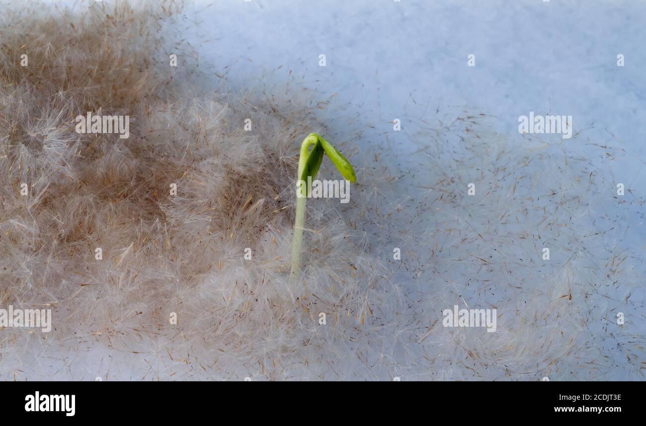 Warm start hi-res stock photography and images - Alamy