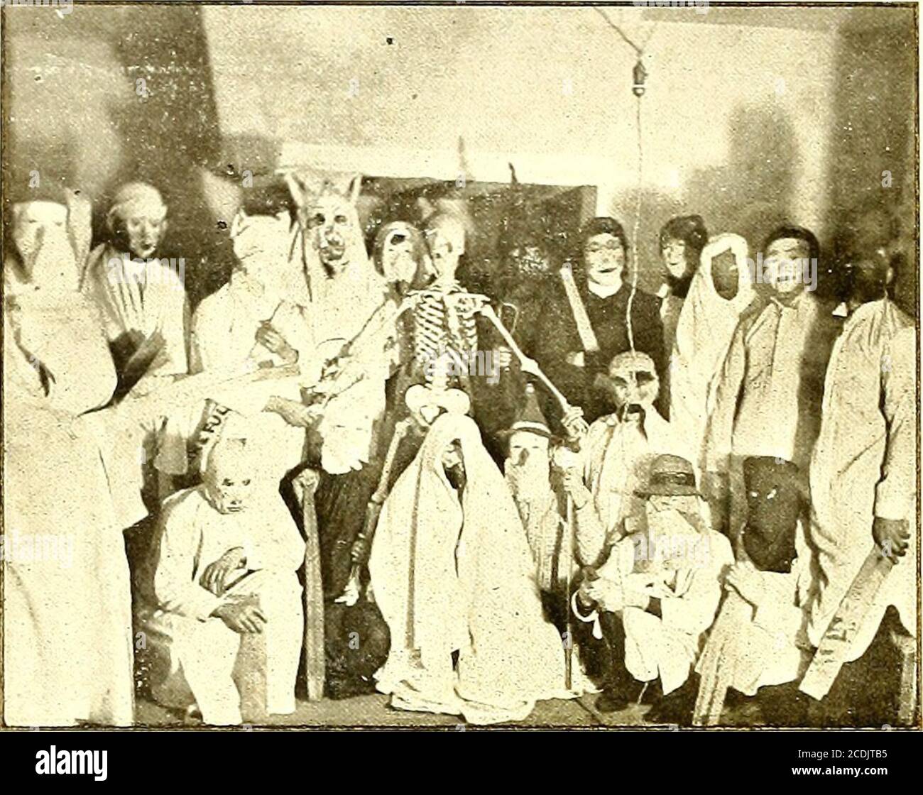 Fleet fawn hi-res stock photography and images - Alamy