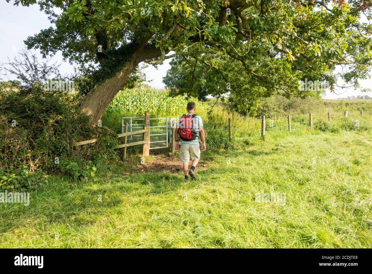 Man backpacker walking rambling along the Sandstone Trail a 34 mile ...