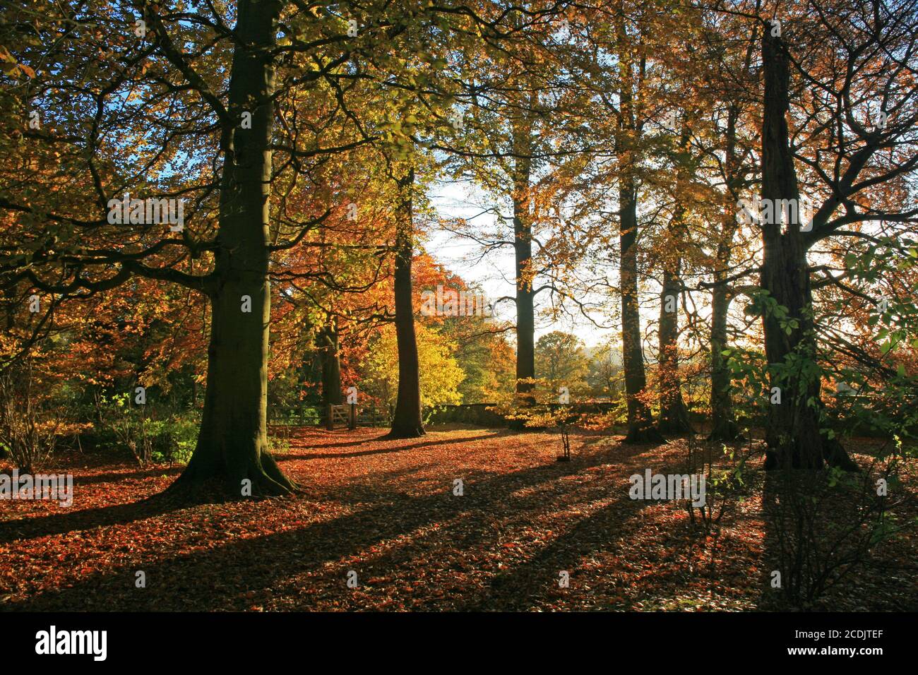 Calke abbey hi-res stock photography and images - Alamy