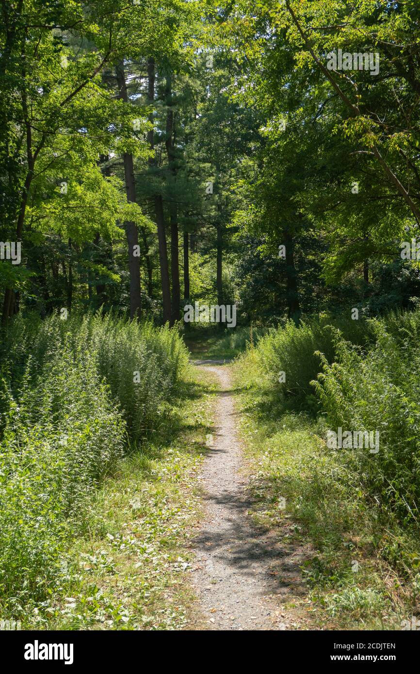 Blue hills reservation massachusetts hi-res stock photography and ...