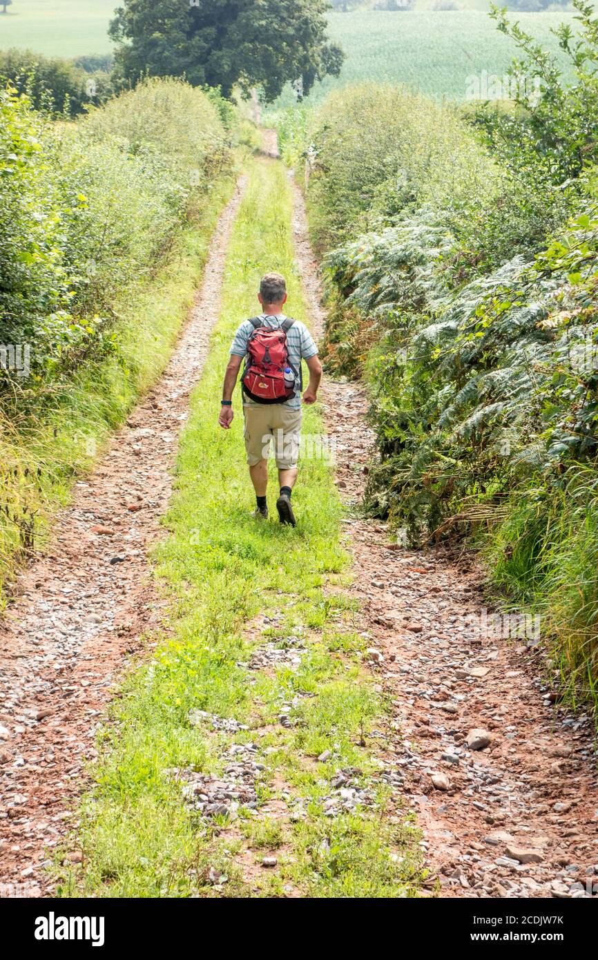 Man backpacker walking rambling along the Sandstone Trail a 34 mile ...