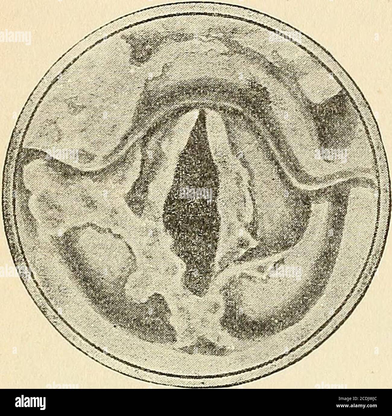 . Twentieth century practice; an international encyclopedia of modern ...
