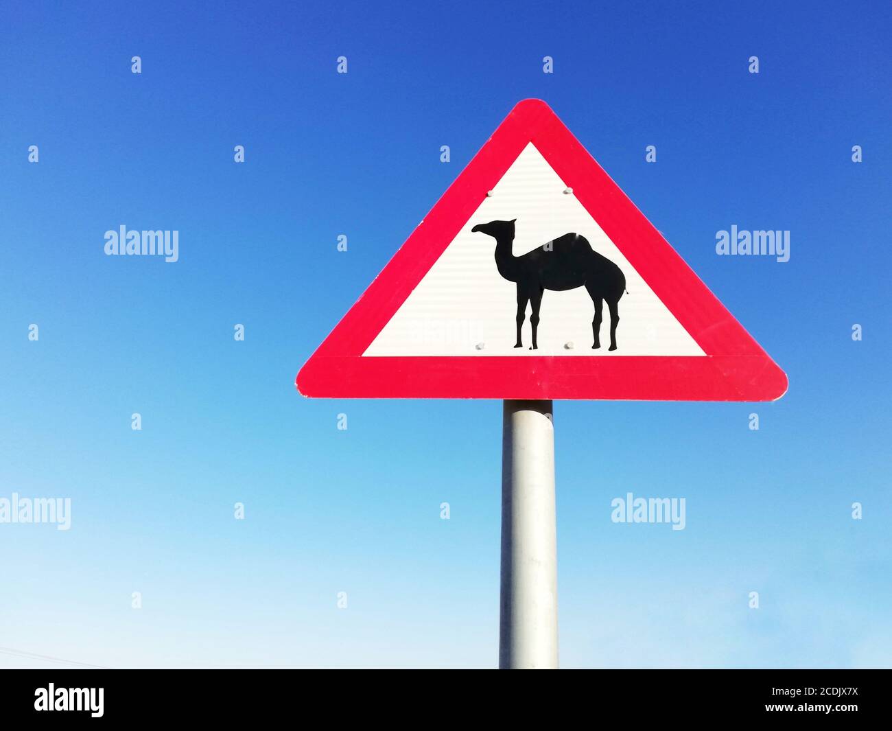 Vertical road sign in the desert Stock Photo - Alamy