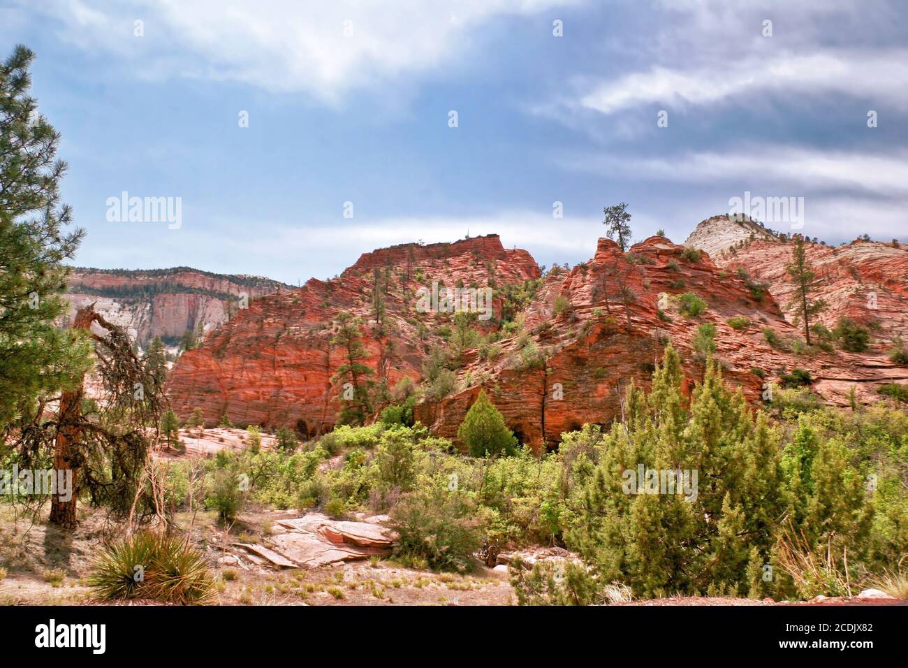 Slopes of Zion canyon. Utah. USA Stock Photo - Alamy