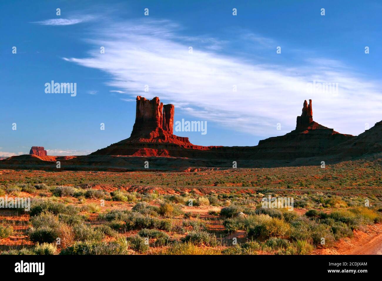 Sunny arizona hi-res stock photography and images - Alamy