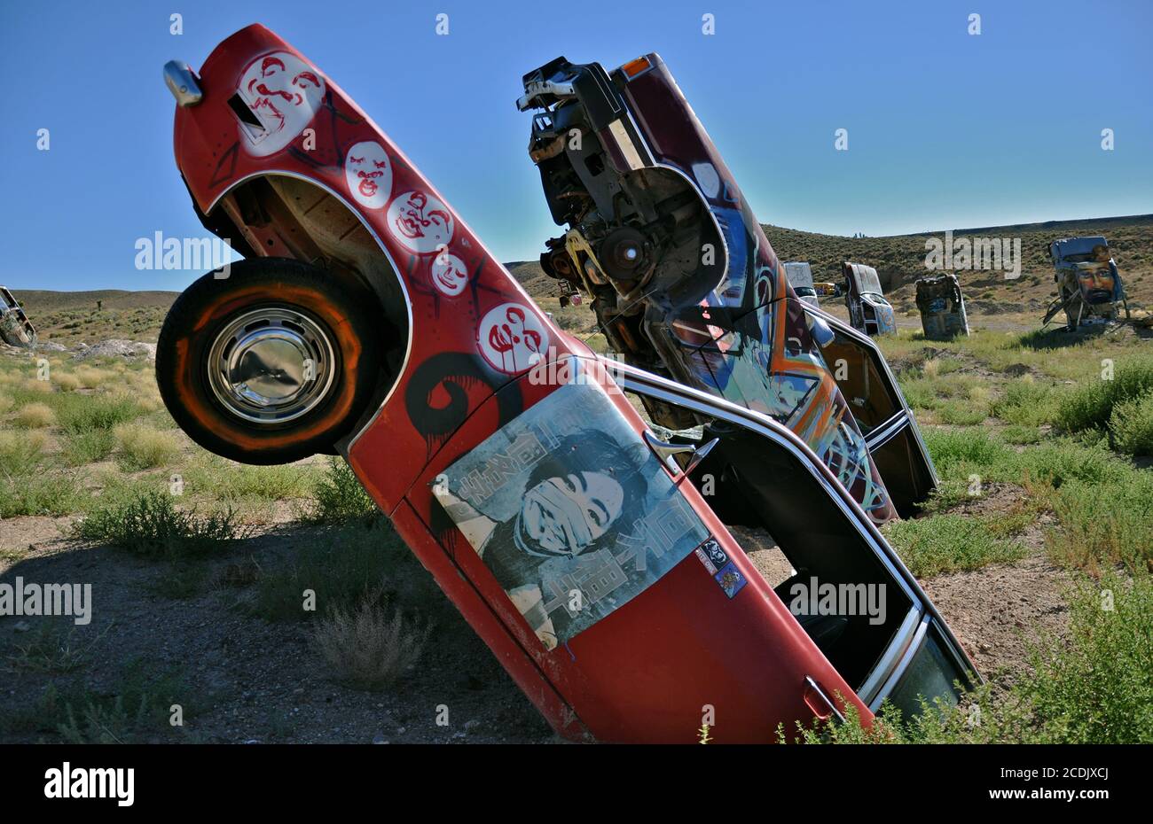 International Car Forest Stock Photo - Alamy