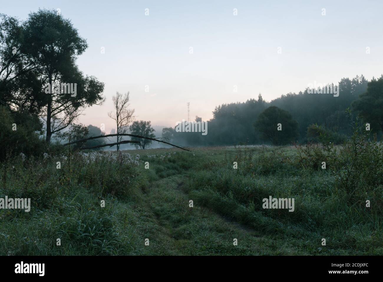 Beautiful morning view hi-res stock photography and images - Alamy