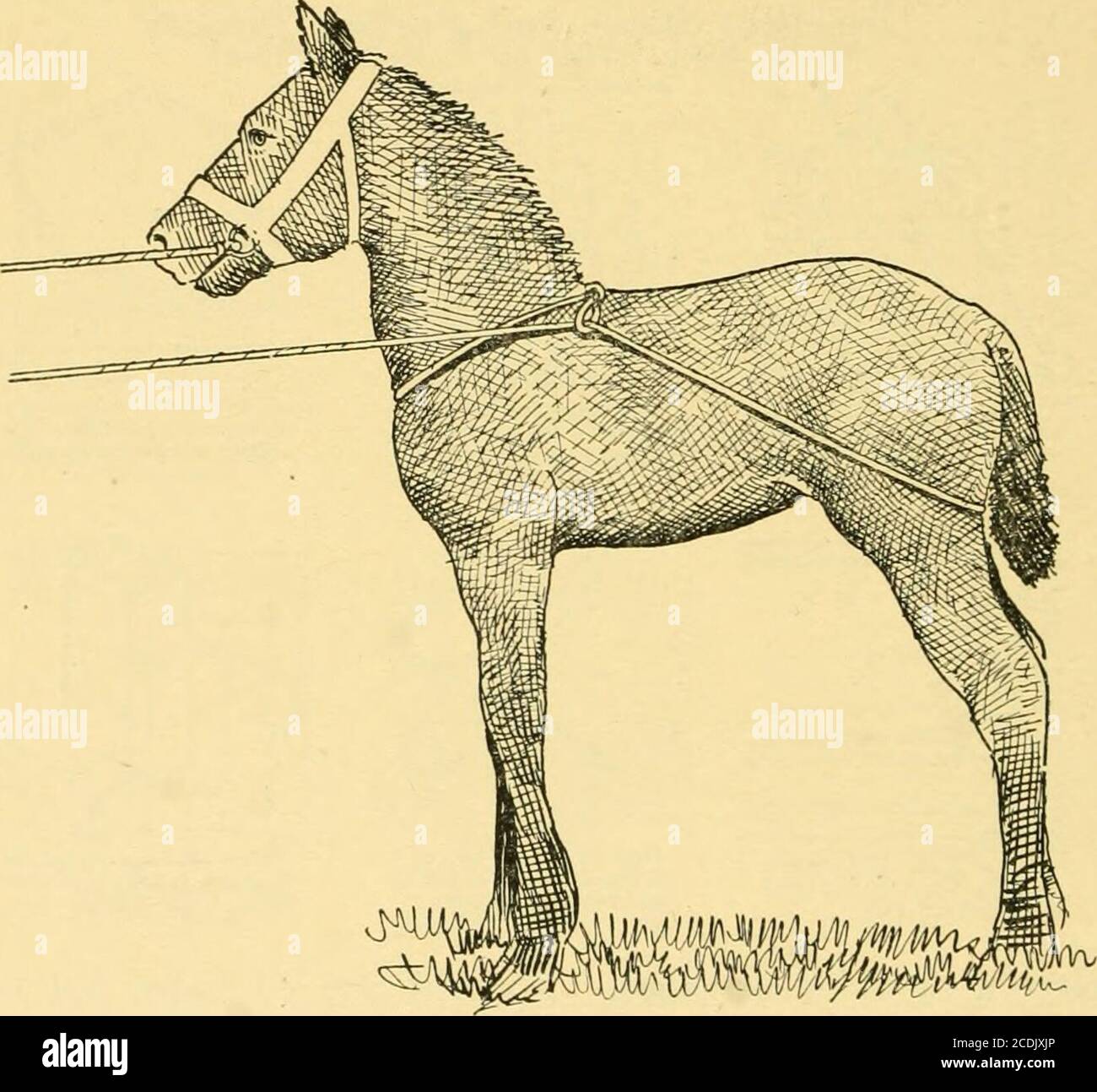 Swill down hi-res stock photography and images - Alamy