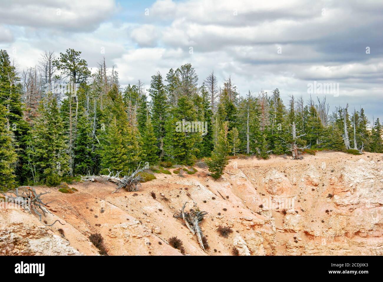 Bryce river canyon hi-res stock photography and images - Alamy
