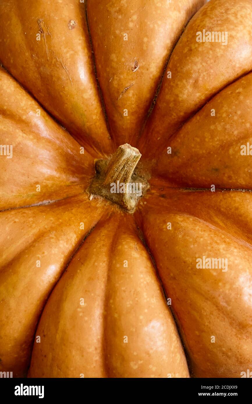 Overhead pick up hi-res stock photography and images - Alamy