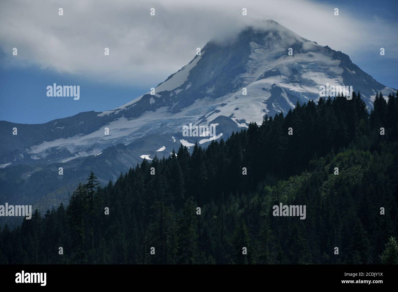 Contrast hood hi-res stock photography and images - Alamy