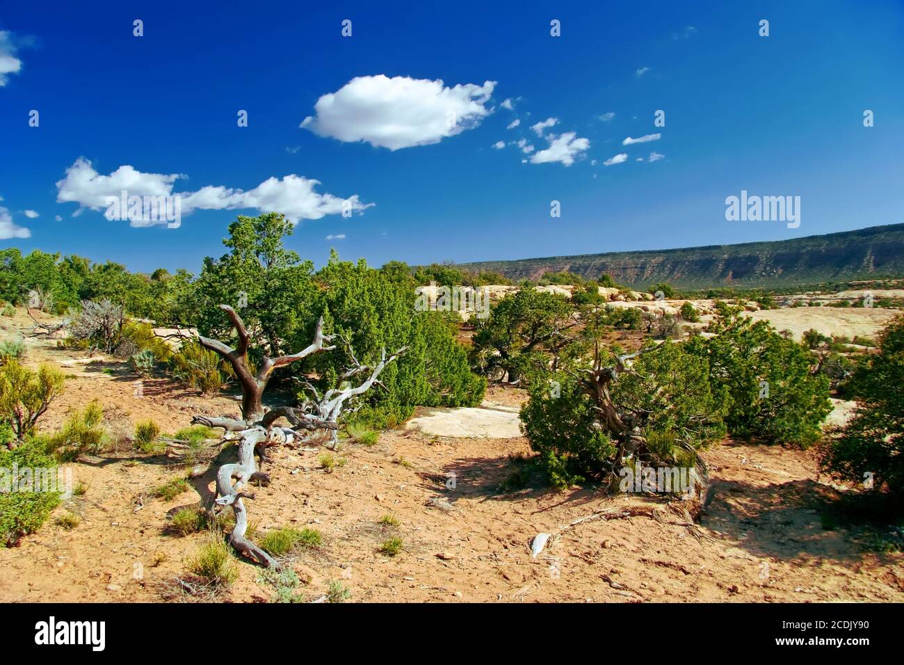 Landscape of Utah state. USA Stock Photo - Alamy