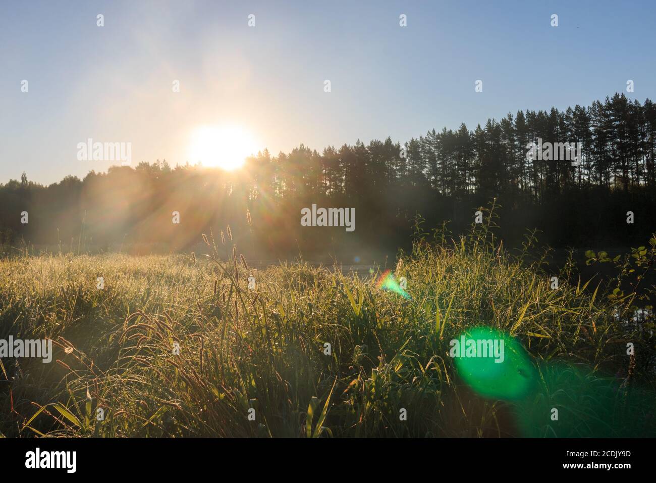 Early morning dawn hi-res stock photography and images - Alamy