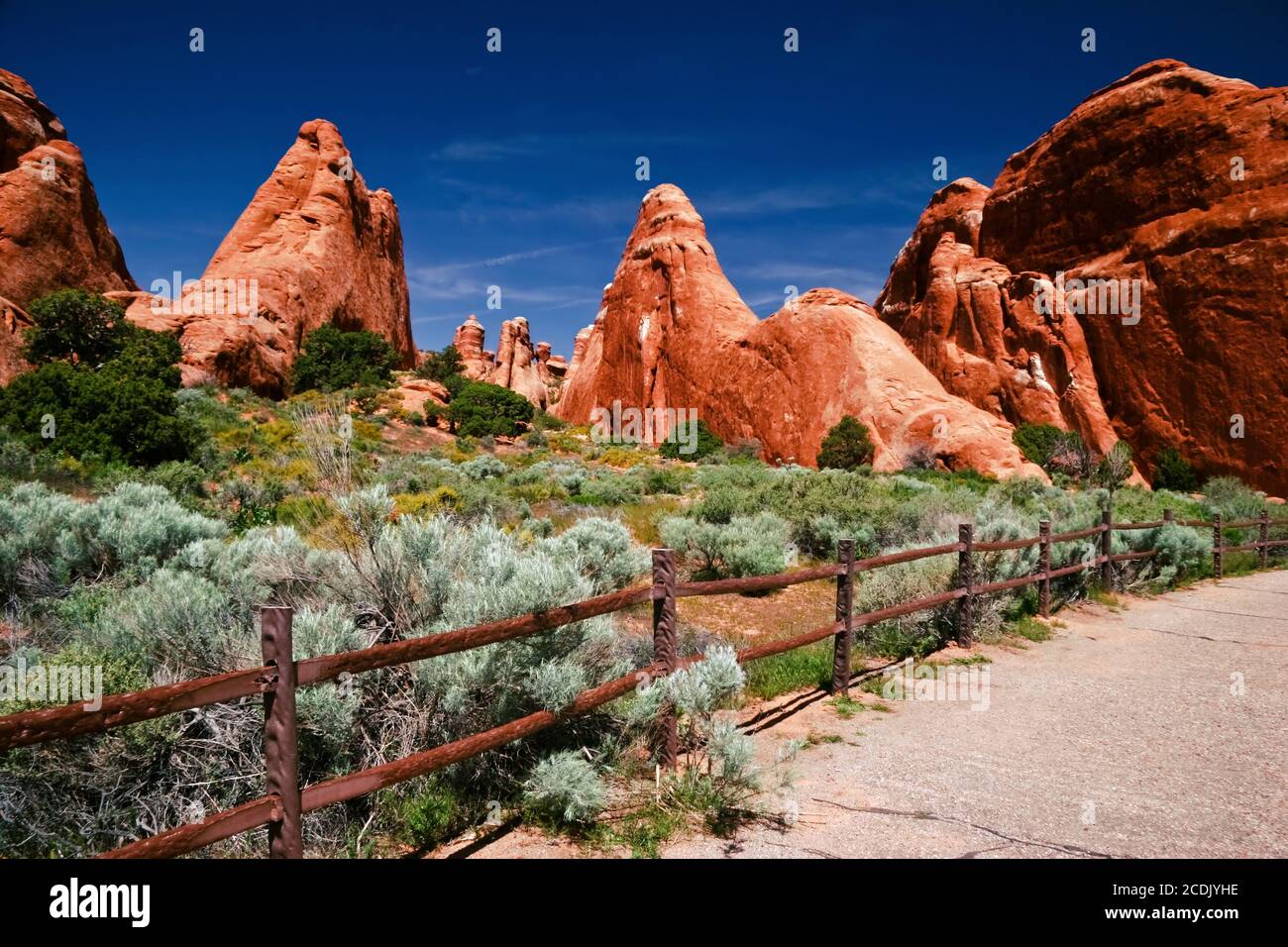 Sunny day in Arches Canyon Stock Photo - Alamy