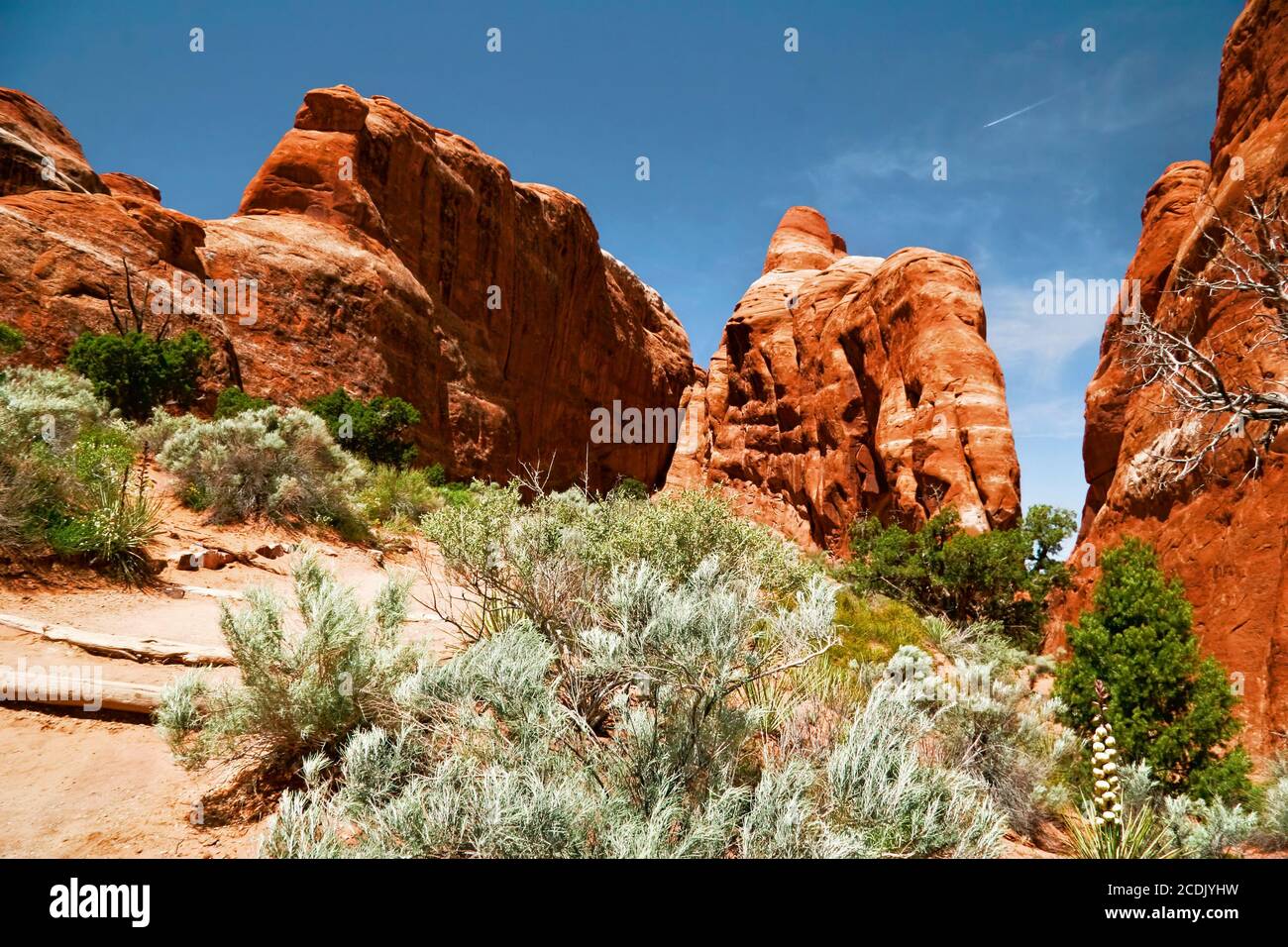 Sunny day in Arches Canyon Stock Photo - Alamy