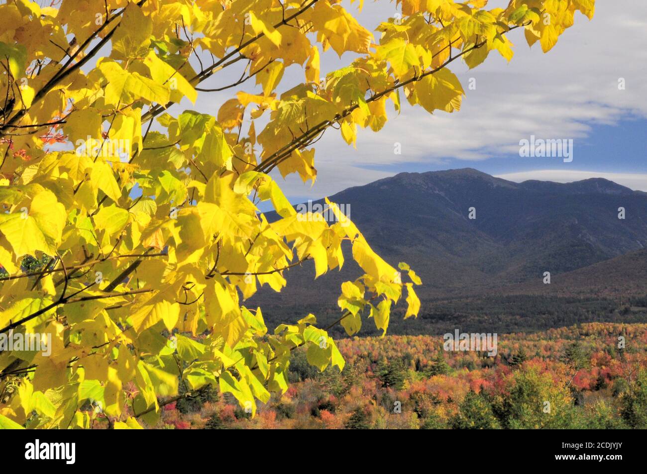 Scenic autumn view from Sugar Hill, New Hampshire. Brilliant yellow ...