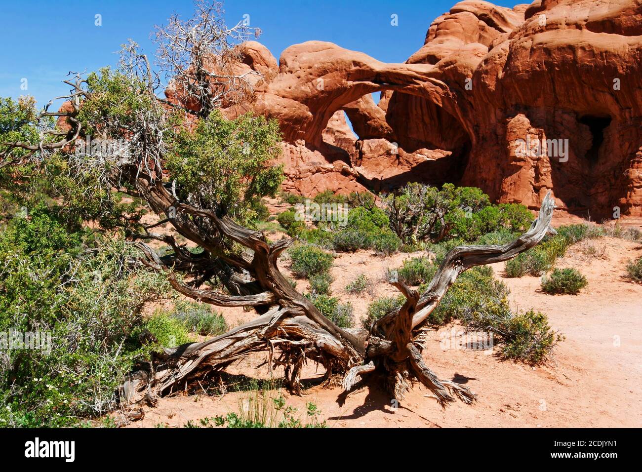Sunny day in Arches Canyon Stock Photo - Alamy