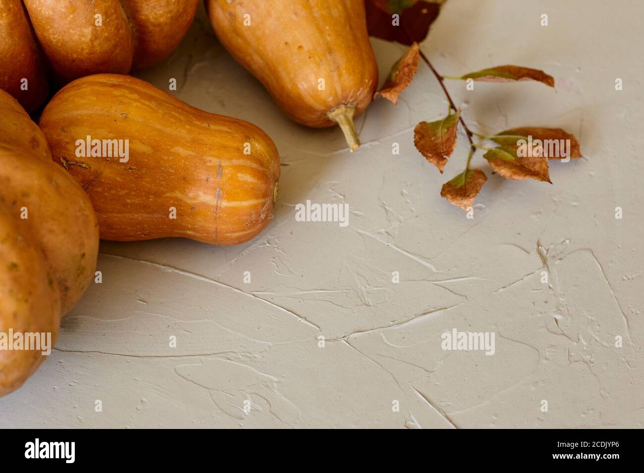 Different size autumn pumpkins with fall leaves Stock Photo - Alamy