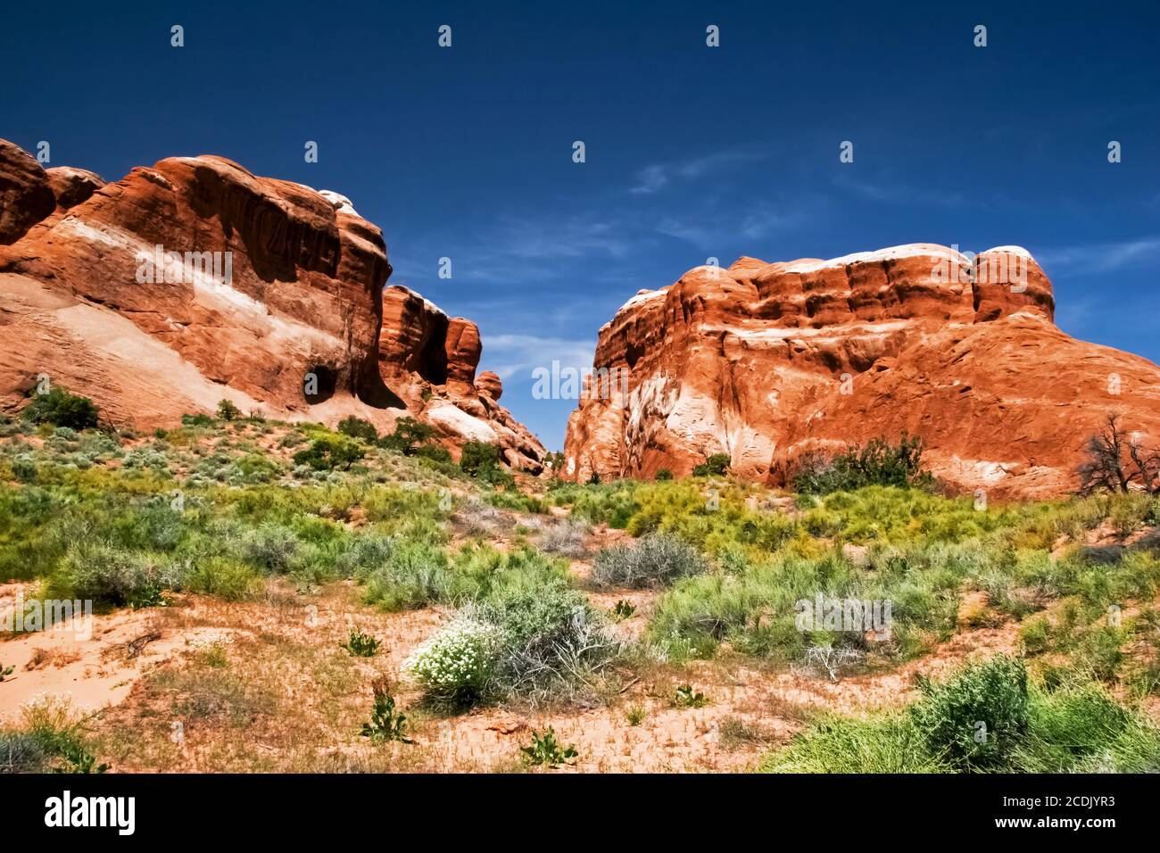 Sunny day in Arches Canyon Stock Photo - Alamy