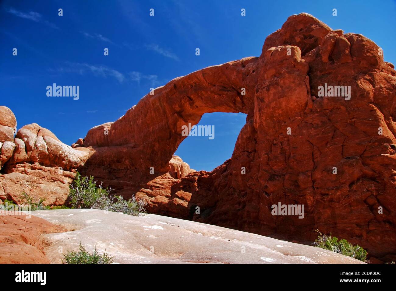 Sunny bea hi-res stock photography and images - Alamy